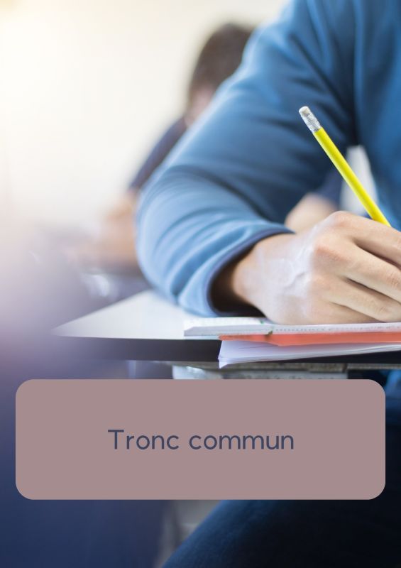 Tronc commun - Voie technologique - Lycée Bristol, 10 avenue Saint Nicolas, 06400 Cannes